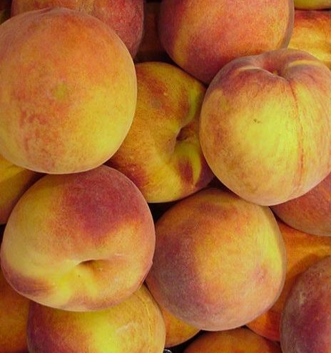Amsden őszibarack - Gyümölcspédia