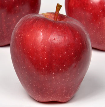Campbell (Redchief) Delicious alma - Gyümölcspédia