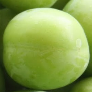 Zöld ringló - Gyümölcspédia